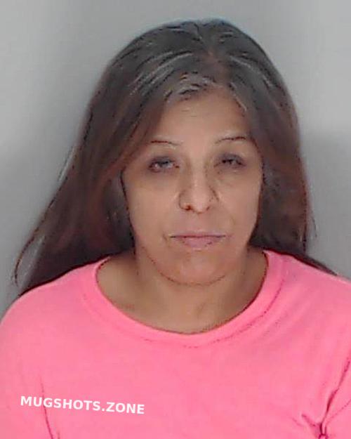 HENSZ ALVIDA ALANIZ 04/20/2024 - Nueces County Mugshots Zone