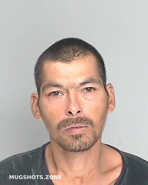 COLLAZO ANGEL 07/28/2024 - Nueces County Mugshots Zone