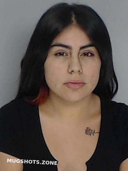 MENDIOLA MARIANA MARGO 08/12/2024 - Nueces County Mugshots Zone