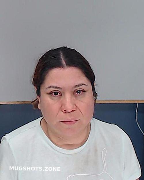 ROMO JENNIFER ANDREINA 09/25/2024 - Nueces County Mugshots Zone