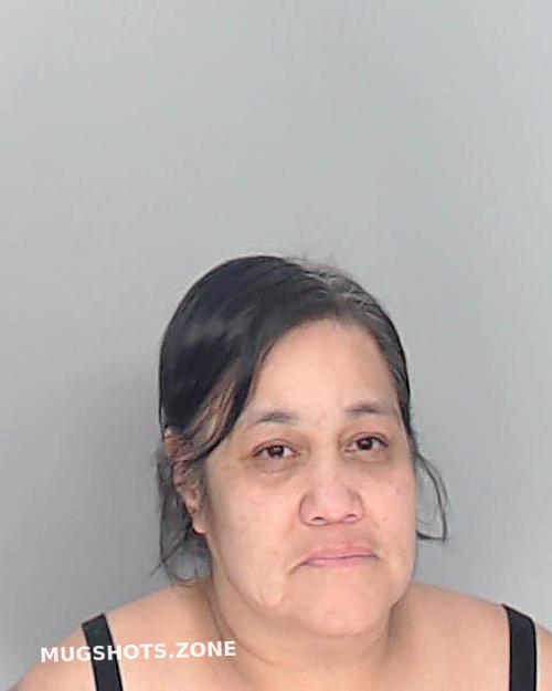 YBARRA BECKY M. 10/22/2024 - Nueces County Mugshots Zone