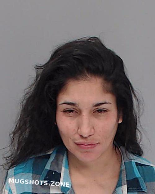 CASTILLO FELICIA 12/22/2024 - Nueces County Mugshots Zone