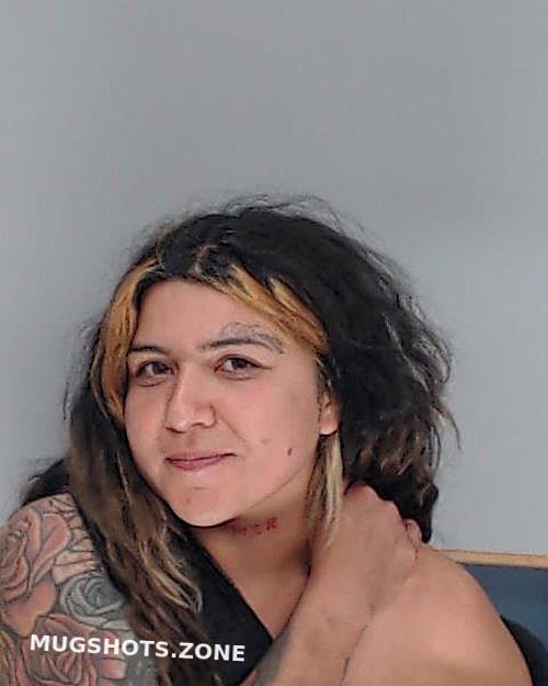 REYES LESLIE ANN 12/28/2024 - Nueces County Mugshots Zone