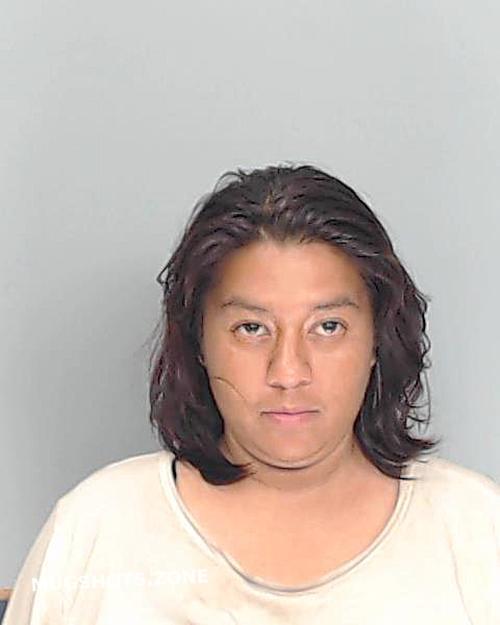 VILLARREAL REBECCA 01/17/2025 - Nueces County Mugshots Zone