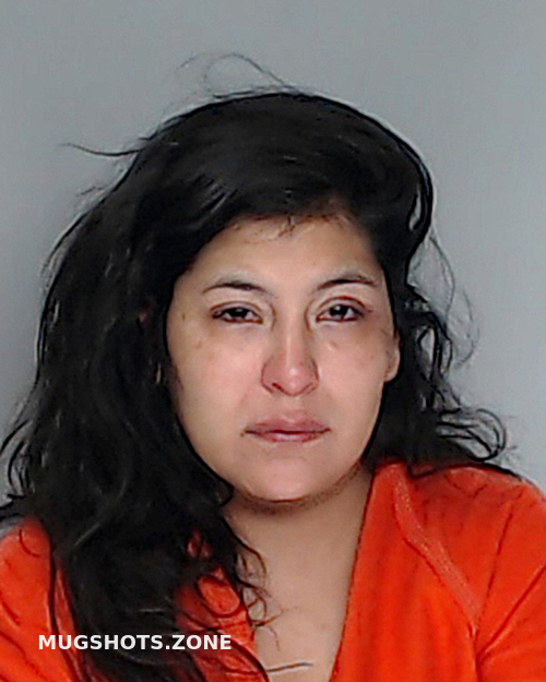 PENA ERICA 01/18/2025 - Nueces County Mugshots Zone