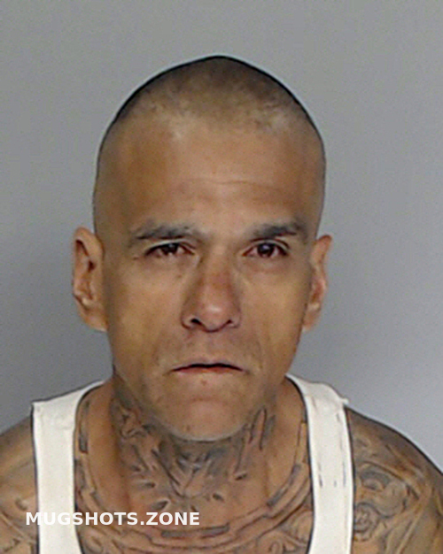 BOTELLO ANDREW Z 01/25/2025 - Nueces County Mugshots Zone