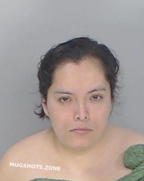 TORRES JESSICA 02/04/2025 - Nueces County Mugshots Zone