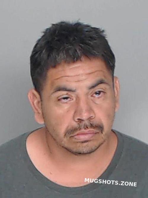 REYNA PABLO ENRIQUE 02/14/2025 - Nueces County Mugshots Zone