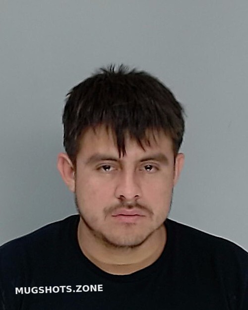 RODAS ALEXANDER 03/17/2025 - Nueces County Mugshots Zone