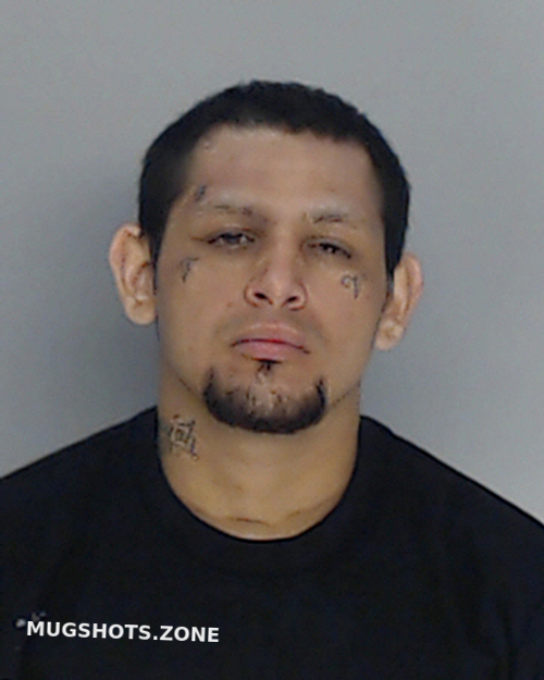 NAVA HERMAN 03/22/2025 - Nueces County Mugshots Zone