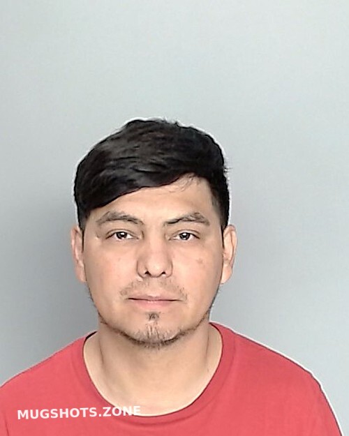 GONZALEZ GEOVANY MARTINEZ 04/03/2025 - Nueces County Mugshots Zone