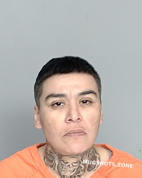 FLORES GENEVIEVE 04/03/2025 - Nueces County Mugshots Zone