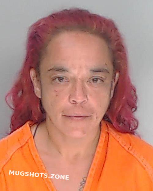 JARAMILLO REBECCA 04/04/2025 - Nueces County Mugshots Zone