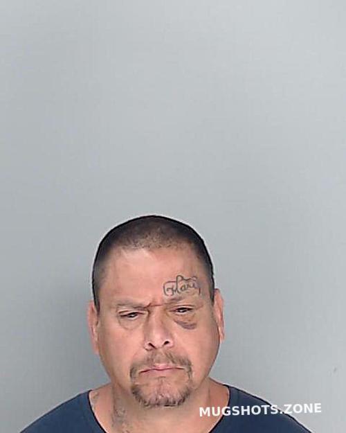 PEREZ RAUL ROLANDO 04/21/2025 - Nueces County Mugshots Zone