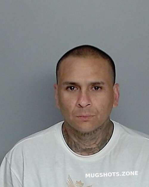 RECIO MICHAEL THOMAS 05/15/2025 - Nueces County Mugshots Zone