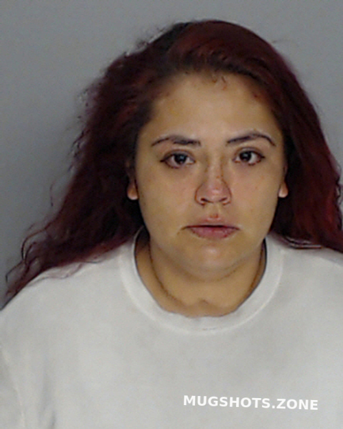 HAMILTON DANIELLE 06/10/2025 - Nueces County Mugshots Zone