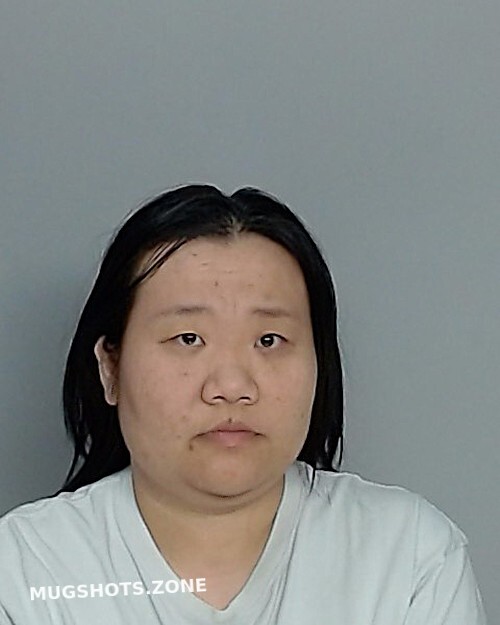 CHEN DANLI 06/14/2025 - Nueces County Mugshots Zone
