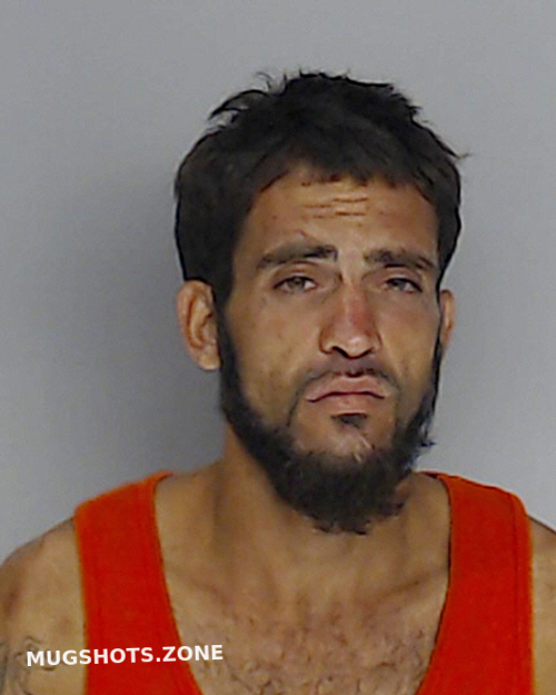 SHELLEY ALEX ANTHONY 06/15/2025 - Nueces County Mugshots Zone