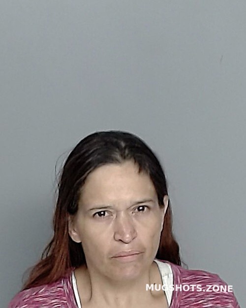 MORIN KAREN ANN 06/17/2025 - Nueces County Mugshots Zone