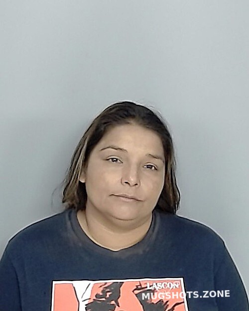 CANO BRENDA 07/10/2025 - Nueces County Mugshots Zone