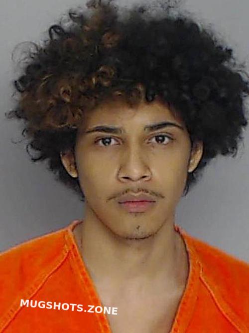 SERNA AUSTIN JAMAR 08/20/2025 - Nueces County Mugshots Zone