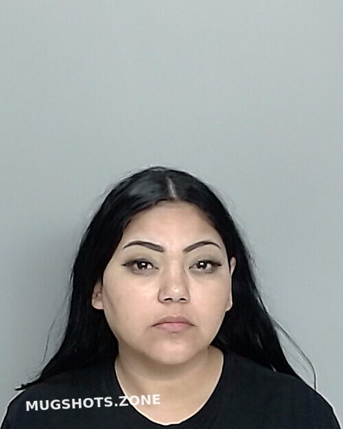 Ramos Paula C 11 14 2025 Nueces County Mugshots Zone