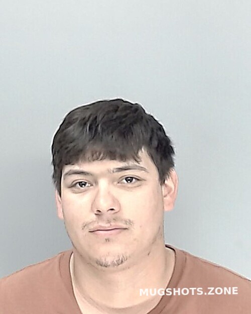 PINON TRINIDAD 11/22/2025 - Nueces County Mugshots Zone