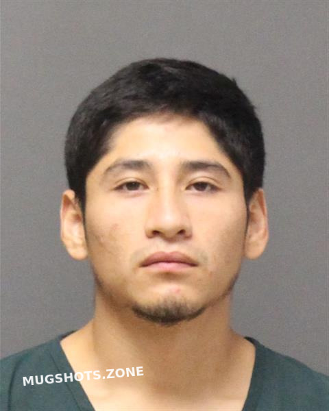 FLORES ACUNA DAVIS 11/01/2024 - Ocean County Mugshots Zone