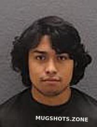 NAVA GILBERT 04/12/2022 - Oconee County Mugshots Zone