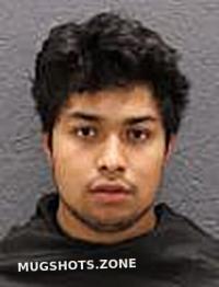 NAVA GILBERT 07/12/2023 - Oconee County Mugshots Zone