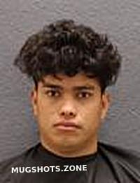 MEJIA BUEZO HECTOR ARISTIDES 01/04/2026 - Oconee County Mugshots Zone