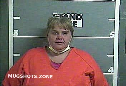 LOWE LISA 02/27/2022 - Ohio County Mugshots Zone