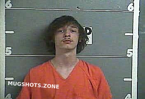 MARTIN JAKE ALEXANDER 04/09/2022 - Ohio County Mugshots Zone