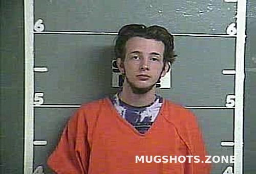 STEVENS LANDON RAY 06/22/2022 - Ohio County Mugshots Zone
