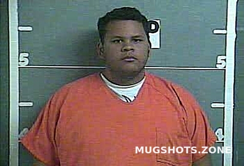 WILKERSON DEVIN MICHAEL 10/25/2022 - Ohio County Mugshots Zone