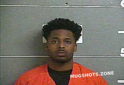 YOUNG MICHAEL A 03/15/2023 - Ohio County Mugshots Zone