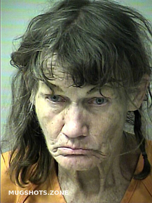 BREWER PATRICIA LYNN 04/23/2024 - Okaloosa County Mugshots Zone
