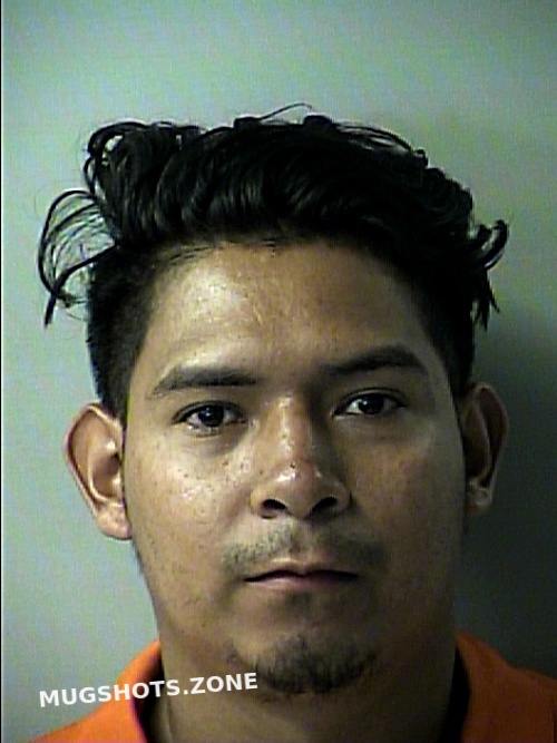 MEJIA PALMA GERSON SAMUEL 06/16/2024 - Okaloosa County Mugshots Zone
