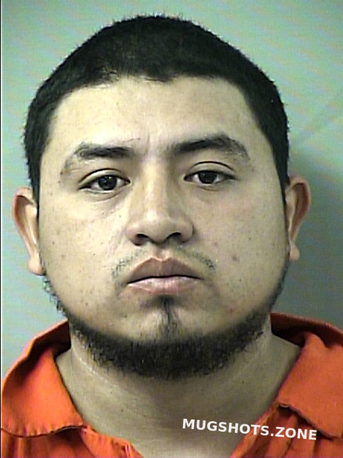 ALVAREZ BARRERA GERARDO 01/19/2025 - Okaloosa County Mugshots Zone