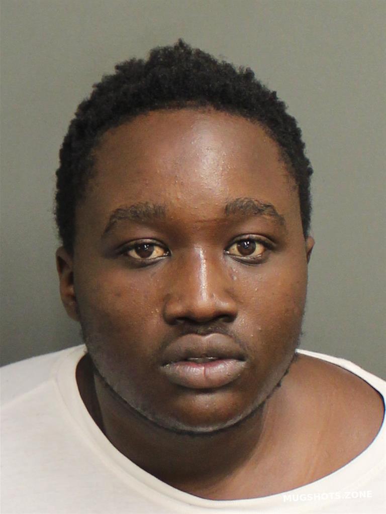 PALMER DNARJA ANTON 10/18/2022 - Orange County Mugshots Zone