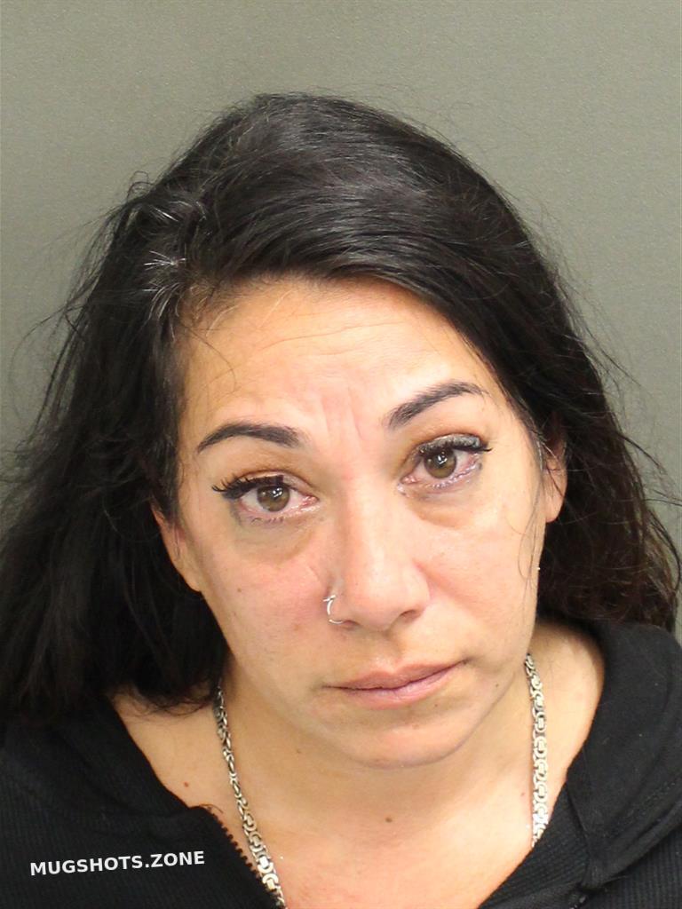 HOUSER AMY LYNN 10/29/2022 - Orange County Mugshots Zone