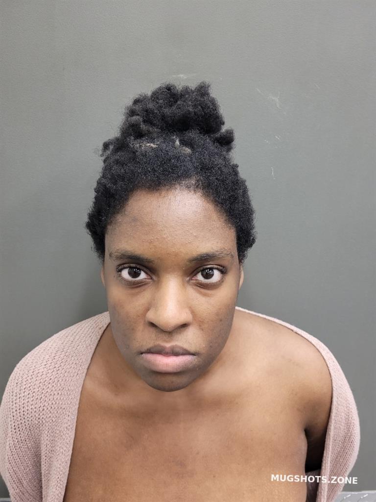 JOHNSON LYDIA ANN 12/28/2022 - Orange County Mugshots Zone