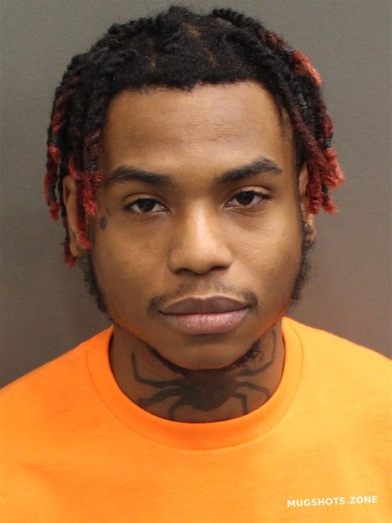ROSS RICKY MICHAEL 11/21/2023 - Orange County Mugshots Zone