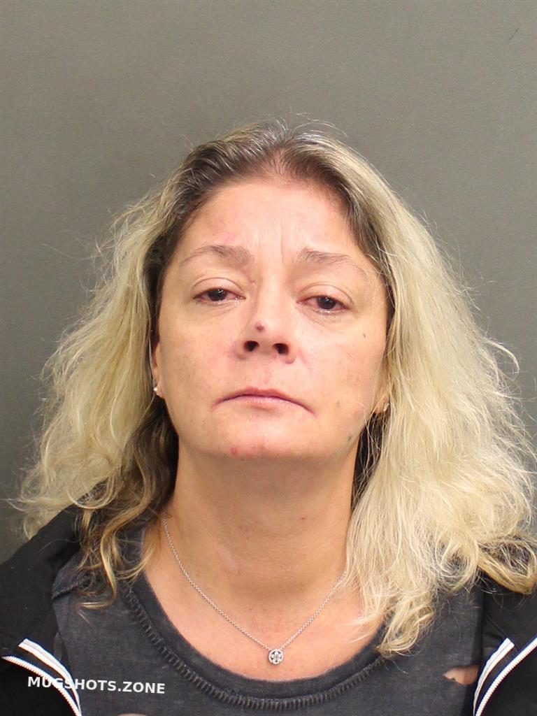 Vlasenko Yuliya 11 27 2023 Orange County Mugshots Zone