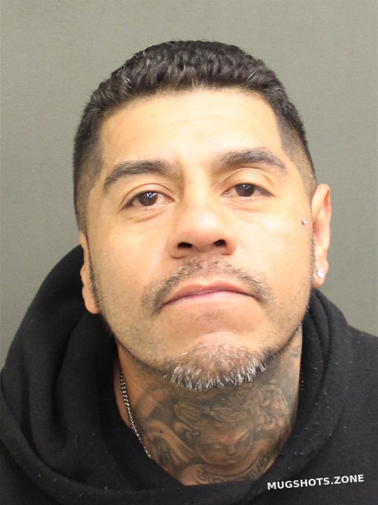 REYES JESUS GUADALUPE 01/19/2024 - Orange County Mugshots Zone