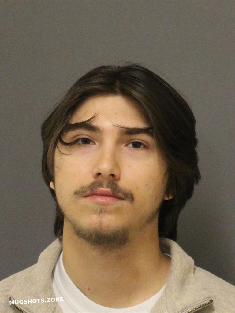 LEWIS ALEXANDER SAMUEL 02/02/2024 - Orange County Mugshots Zone