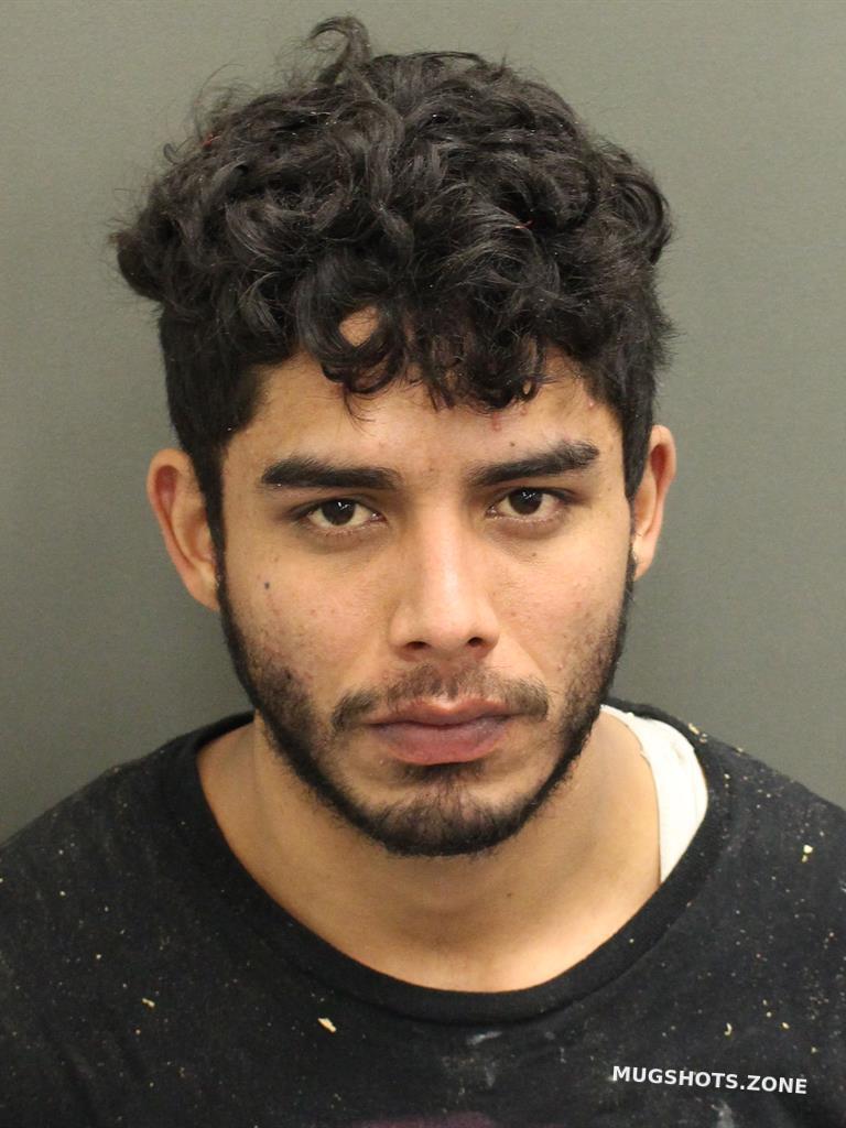 REYESCOS ELMER ALBINO 02/15/2024 - Orange County Mugshots Zone