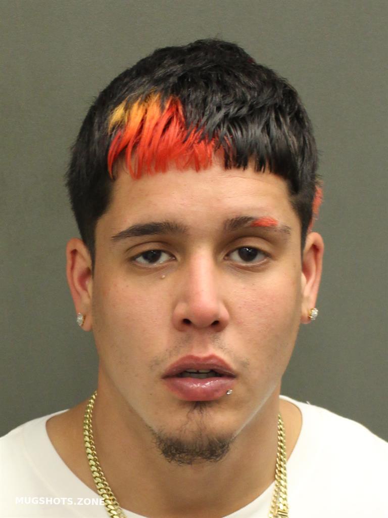 IRIZARRY DIEGO ARMANDO 03/26/2024 - Orange County Mugshots Zone