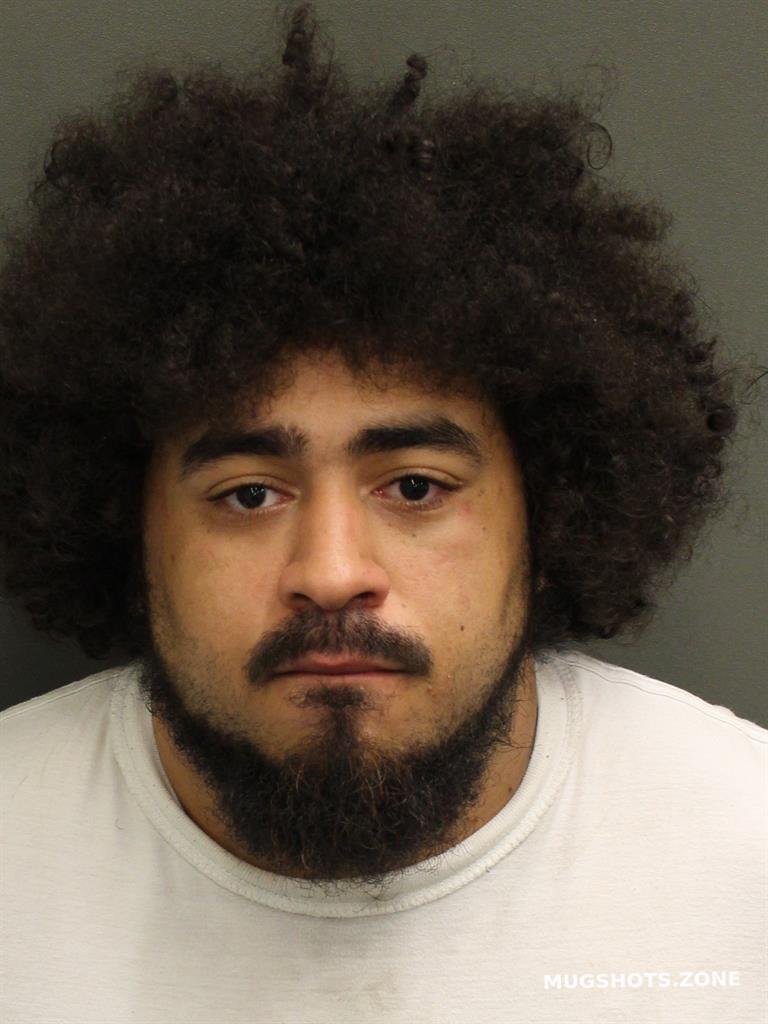 ORTEGA GEORGE 04/19/2024 - Orange County Mugshots Zone