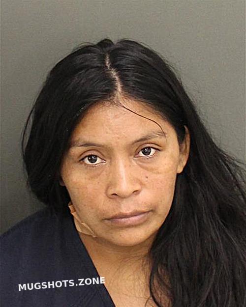 FLORIDALMA SANDRA 04/20/2024 - Orange County Mugshots Zone